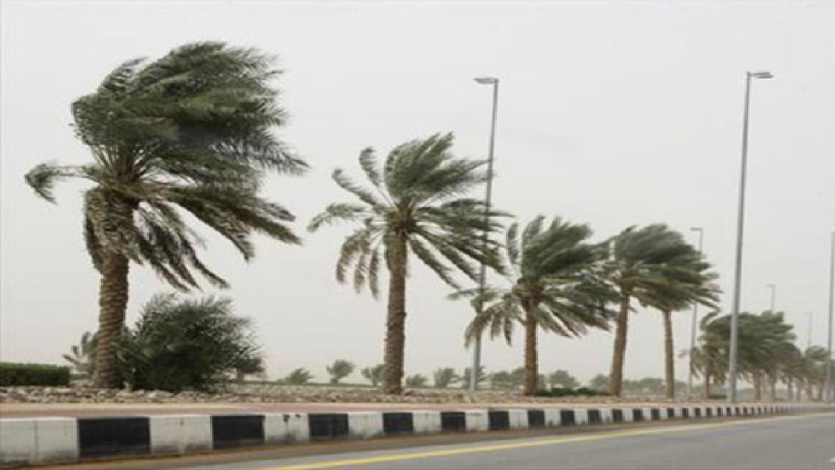 Qatar weather forecast
